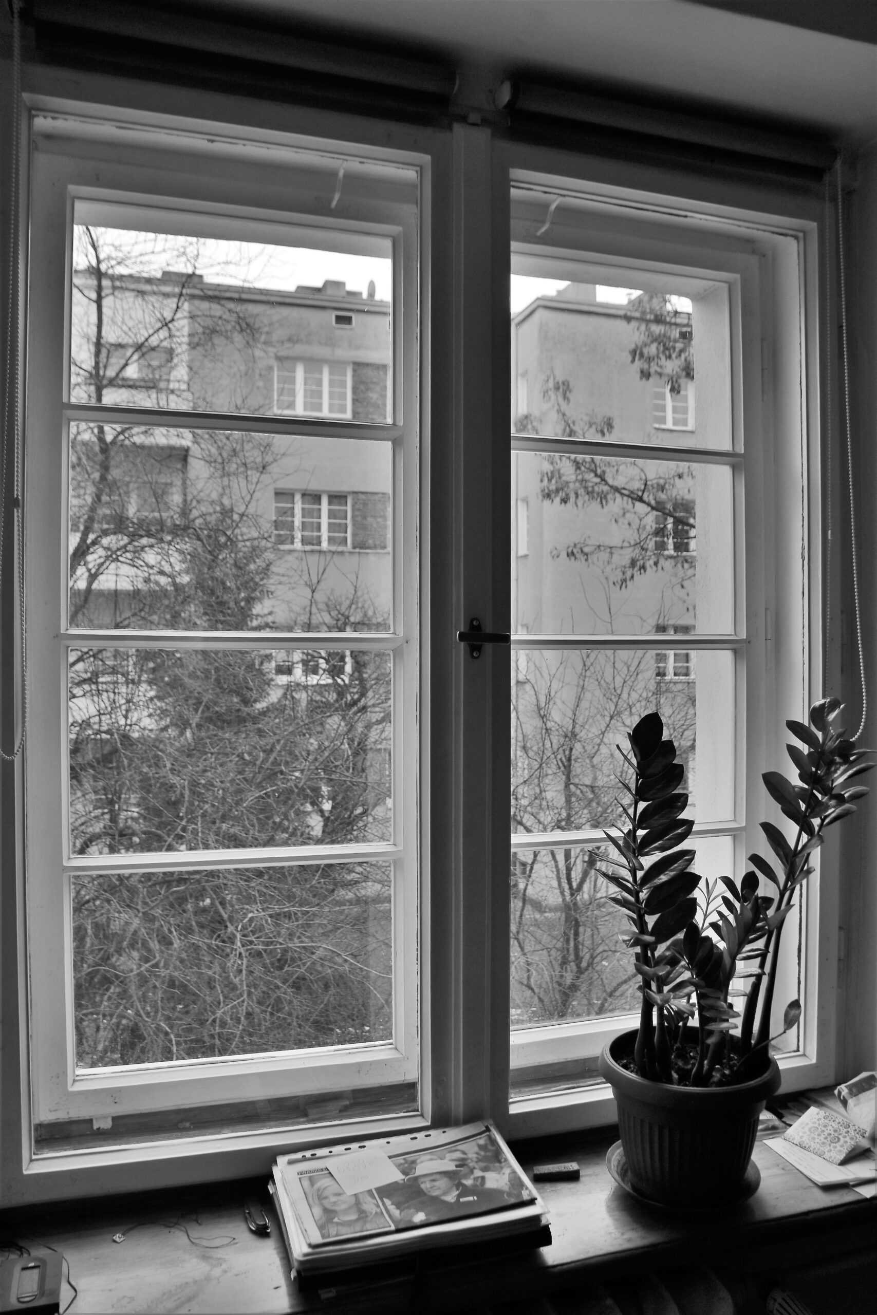 Szlakiem modernizmu. Łódź. Osiedle Montwiłła-Mireckiego na Polesiu ... Szlakiem modernizmu. Łódź. Osiedle Montwiłła-Mireckiego na Polesiu ...
